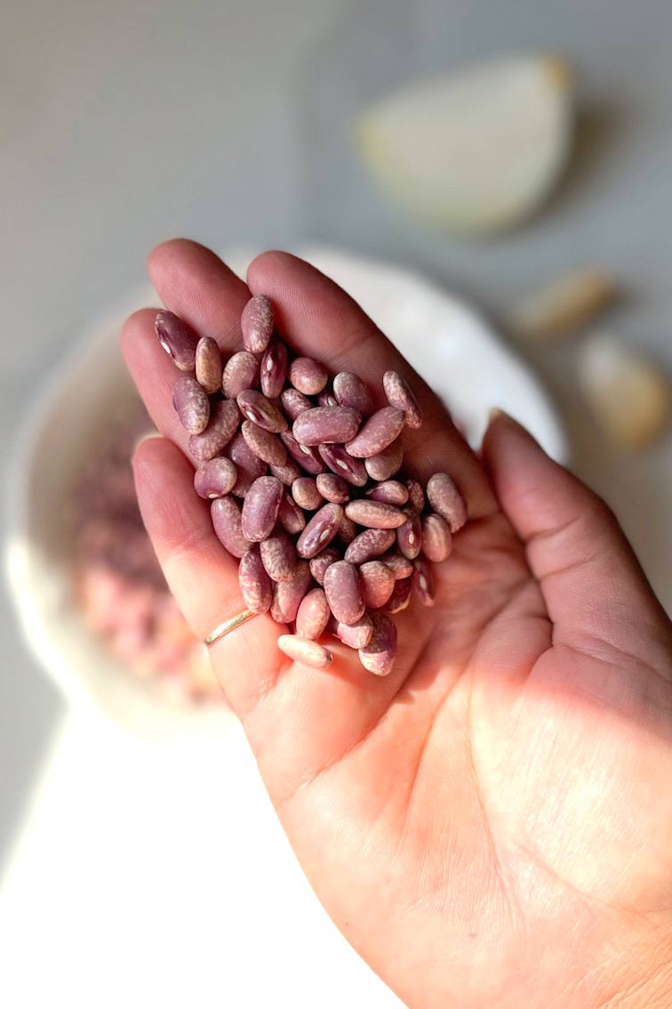 Rosita Beans Recipe (Flor De Mayo) - LatinasQueComen